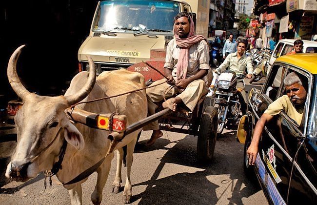 Road Safety in India is Worst, says WHO | CarDekho.com